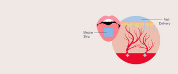 Body Sync · Meche Wellness